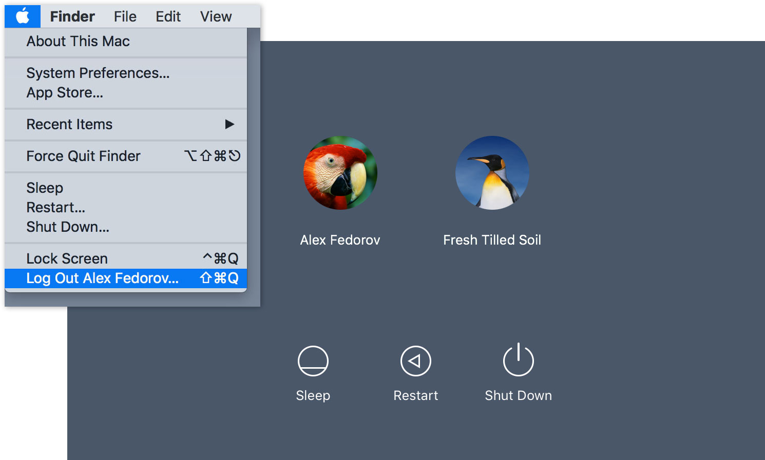 Me, Myself, and I: Managing Multiple Product Profiles - ADK Group
